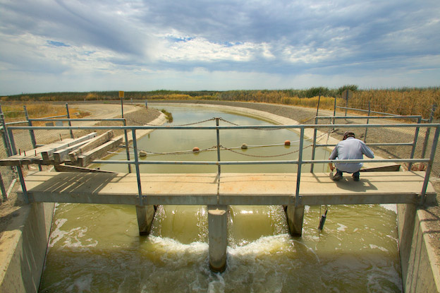 Environmental Stewardship